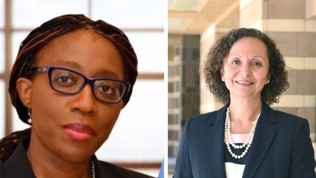 Finance for Climate Action | AUC School of Global Affairs and Public Policy
